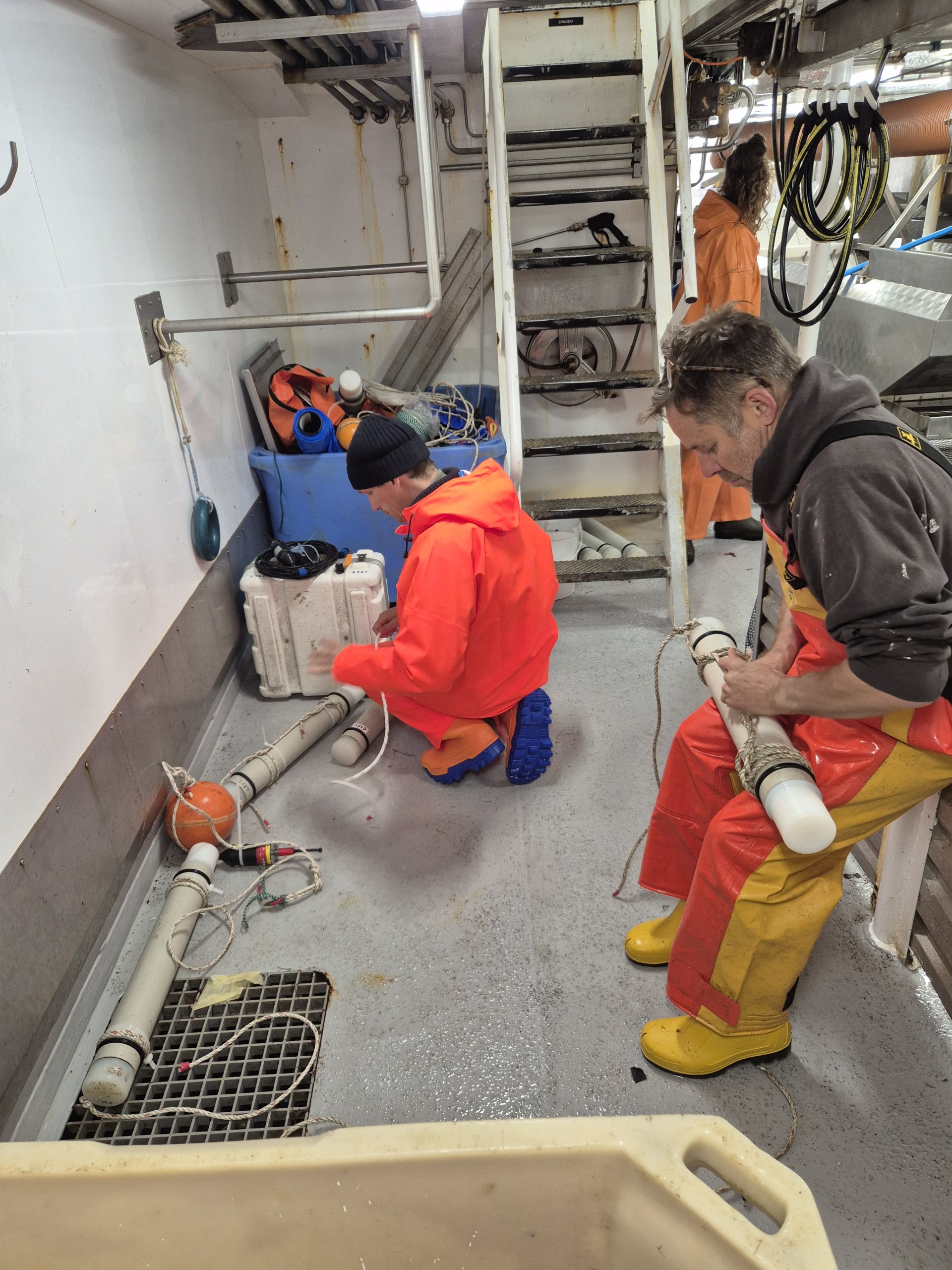 Bycatch Mitigation Trial in Iceland’s Waters: Testing Old and New Ideas ...